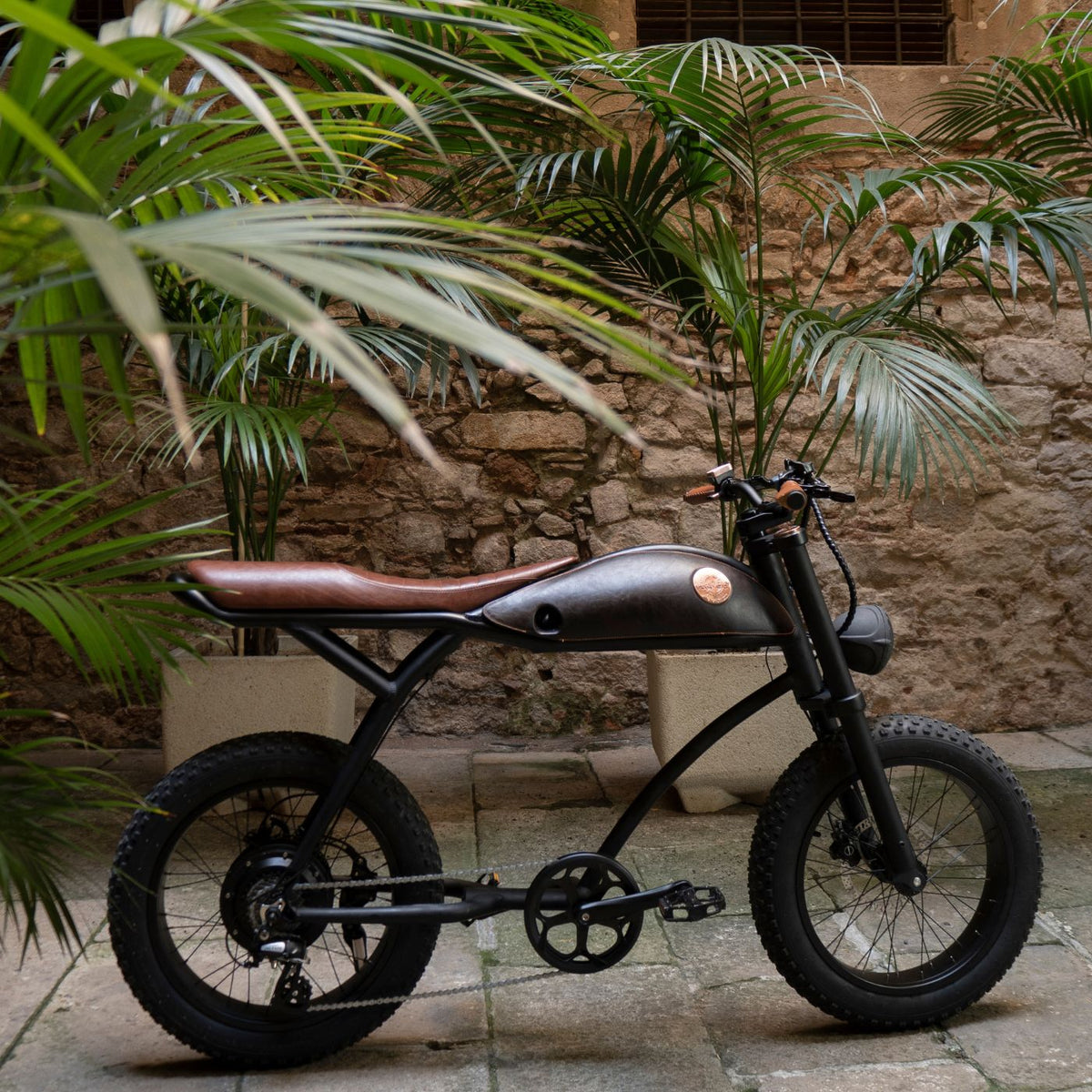 Rayvolt Ringo - Retro Electric Bicycle for Distinctive City Commutes