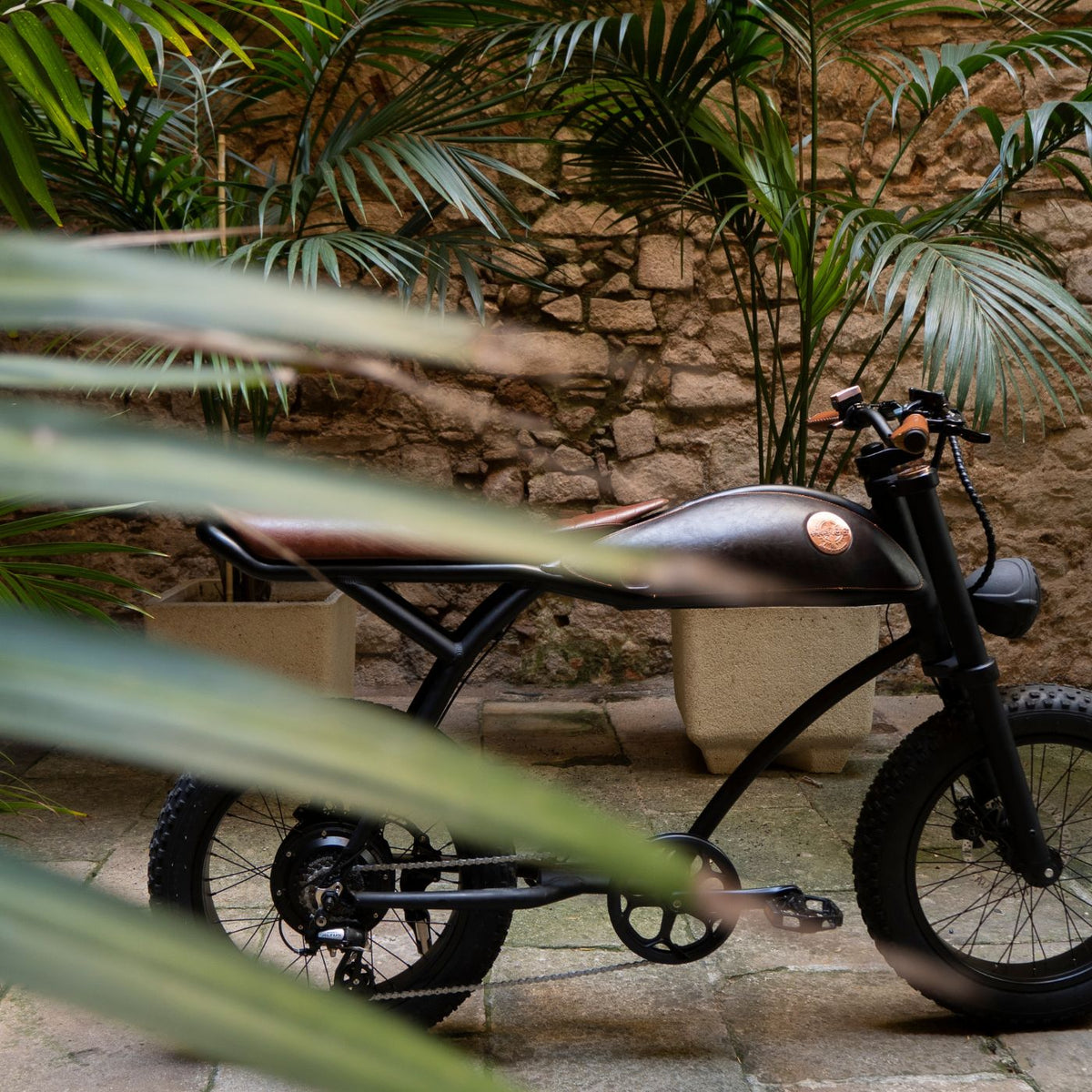 Rayvolt Ringo - Retro Electric Bicycle for Distinctive City Commutes