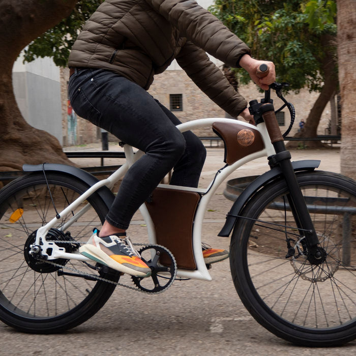 Rayvolt Torino - Vintage-inspired Urban E-bike for Stylish City Rides