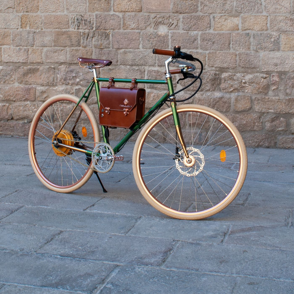 Rayvolt Ambassador - Luxury Electric City Bike for Sophisticated Commuting