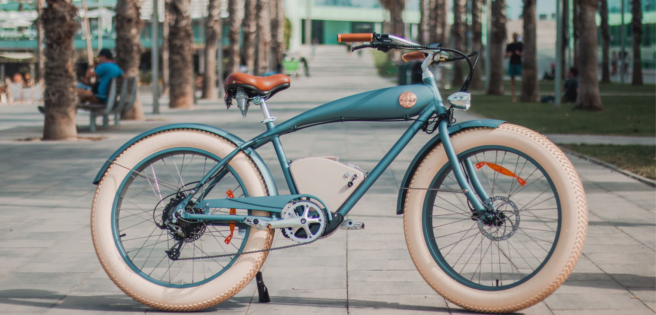 Rayvolt Bike - Official Online Store - Join the Rayvolution