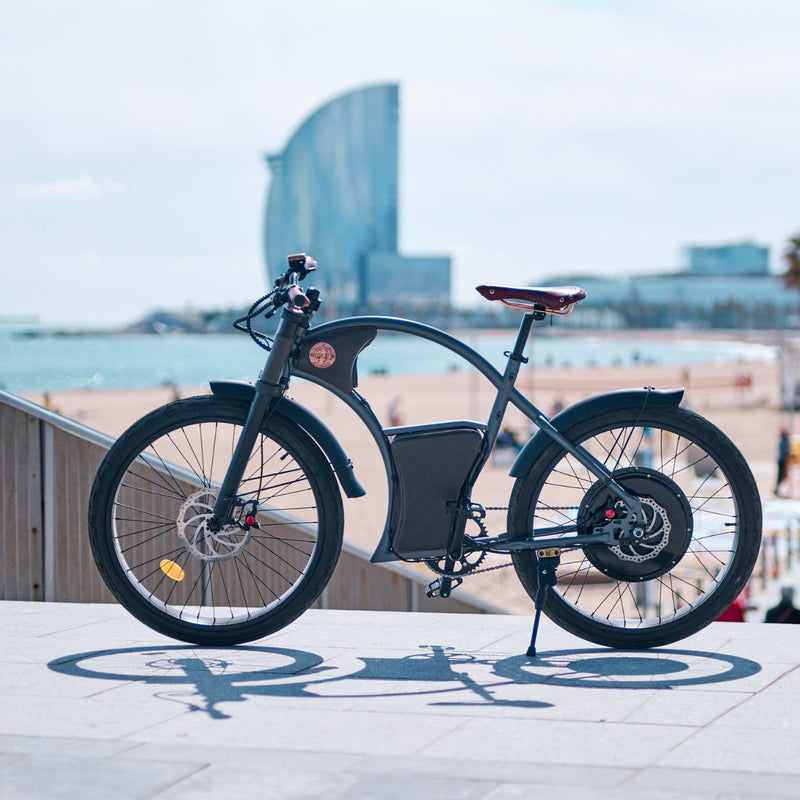 Rayvolt Torino - Vintage-inspired Urban E-bike for Stylish City Rides