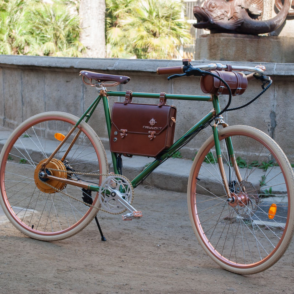 Rayvolt Ambassador - Luxury Electric City Bike for Sophisticated Commuting