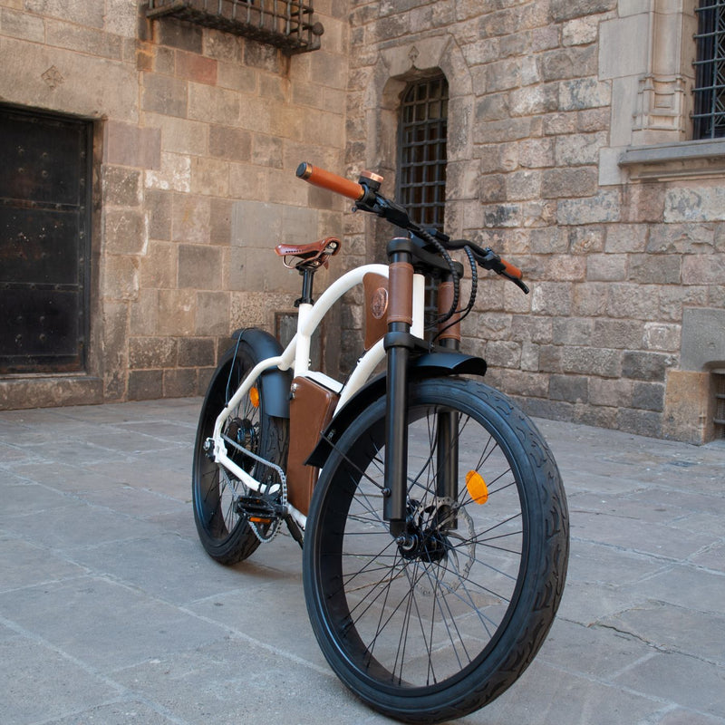 Rayvolt Torino - Vintage-inspired Urban E-bike for Stylish City Rides