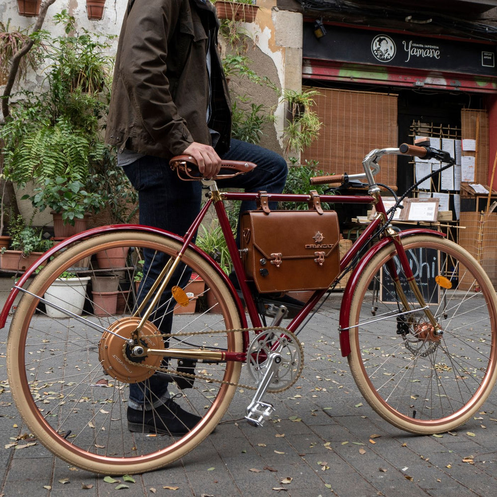 Rayvolt Ambassador - Luxury Electric City Bike for Sophisticated Commuting