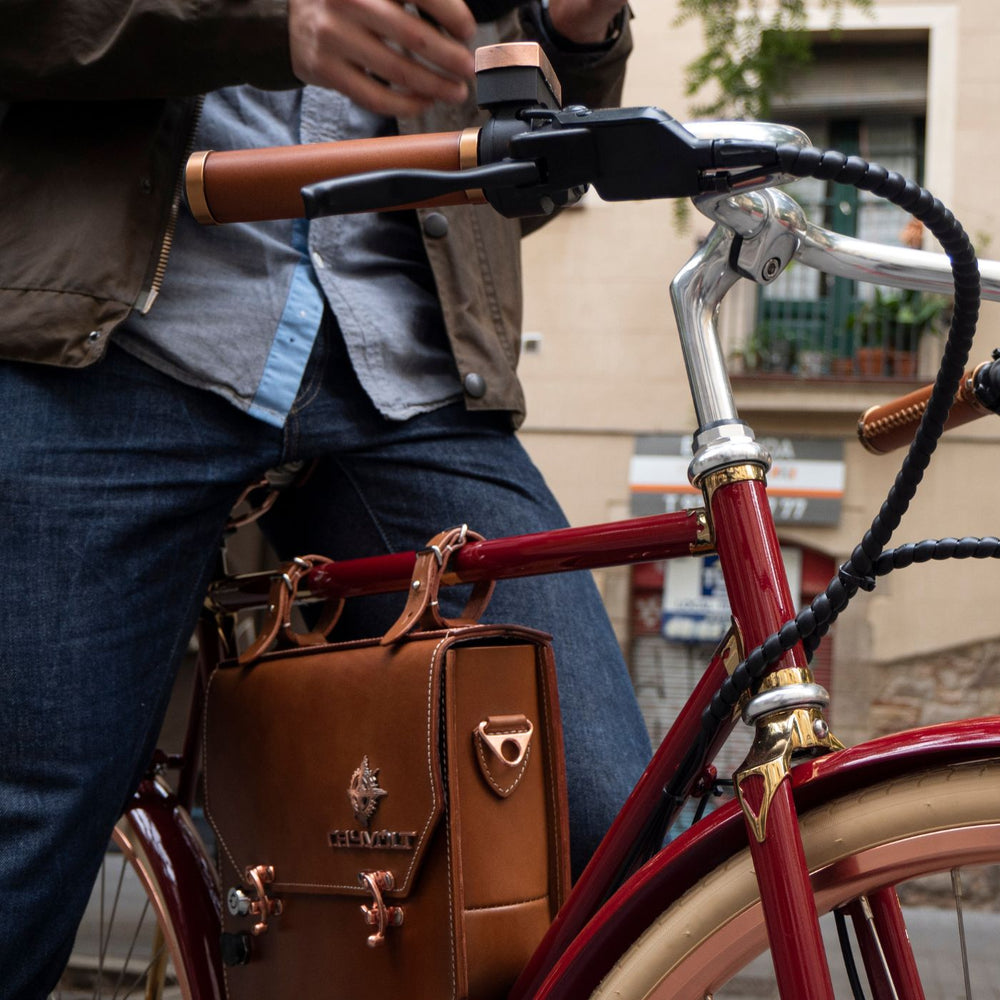 Rayvolt Ambassador - Luxury Electric City Bike for Sophisticated Commuting